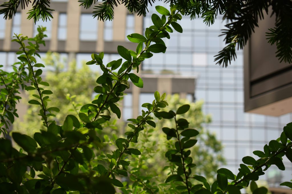 Public Organisations: Meeting Energy Mandates with Carbon Analysis ...